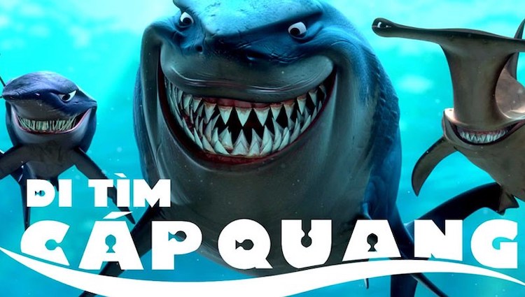 Cá mập cắn cáp và cách khắc phục tình trạng mạng chậm