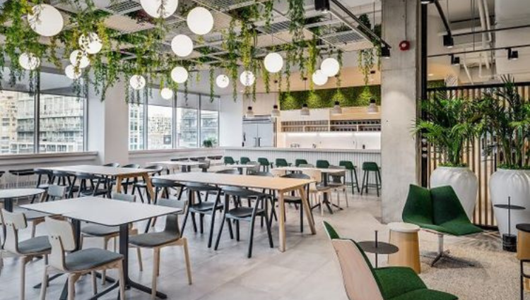 Food Court là gì? Những đặc điểm của loại hình kinh doanh Food Court